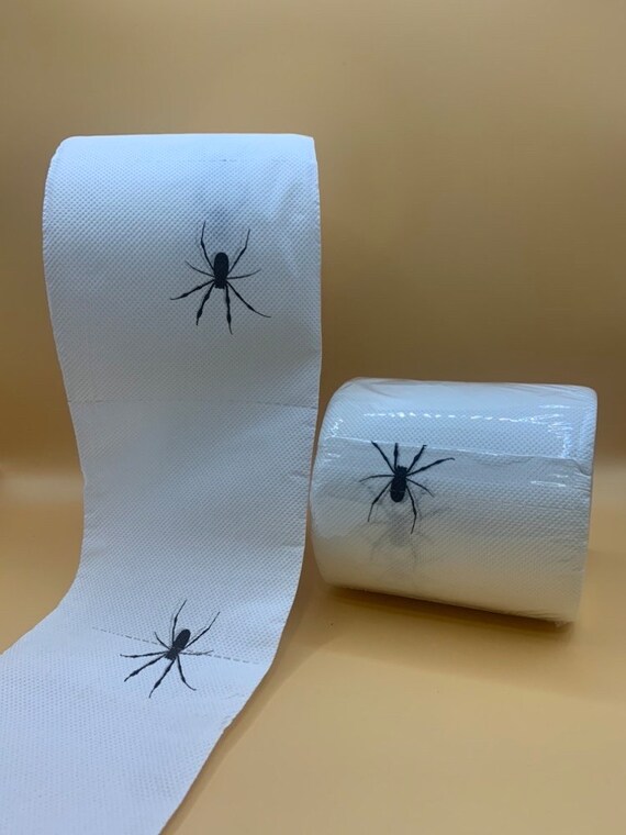 Toilet Paper Roll Spider