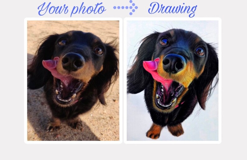 Custom Pet Drawing,dog Charcoal Portrait, Custom Pet Portrait, Photo to ...
