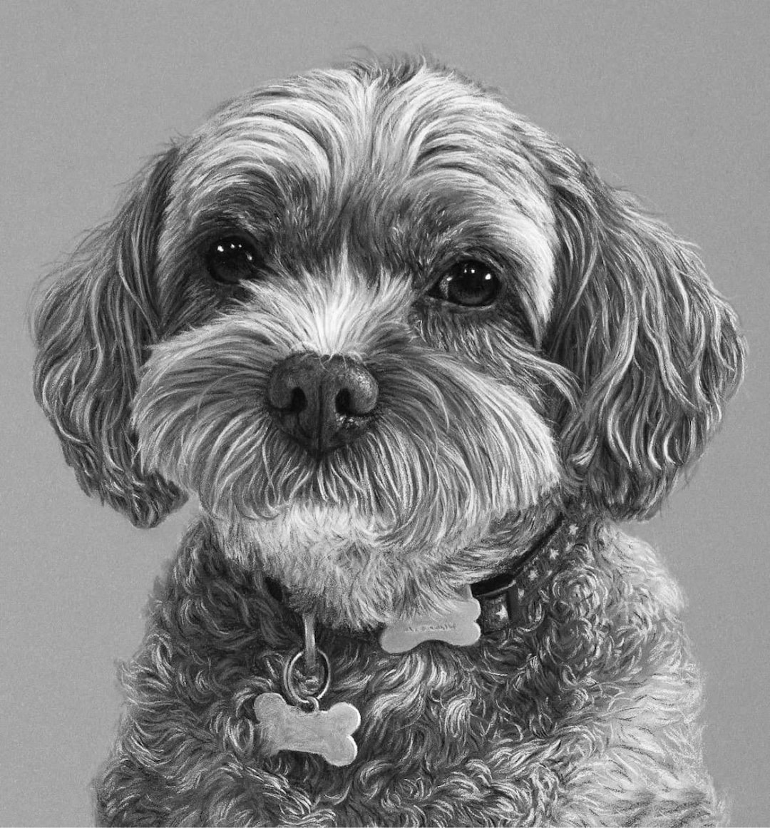 Custom Pet Portrait Drawing – Realistic Dog, Cat, Horse Sketch | Pencil ...