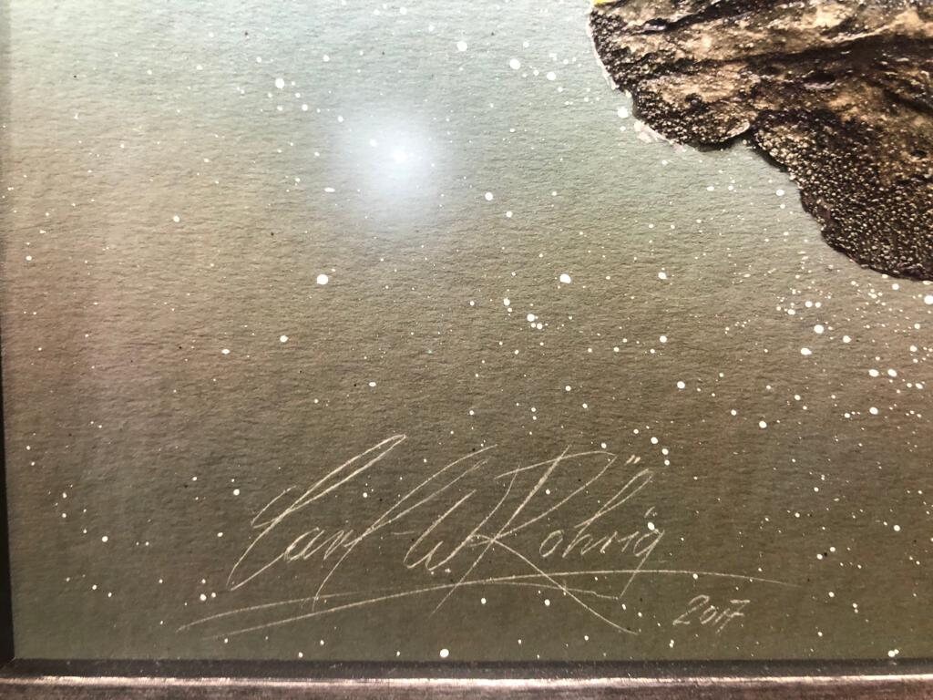 Carl W. Röhrig flowerdream Original and Signed 55x40 - Etsy