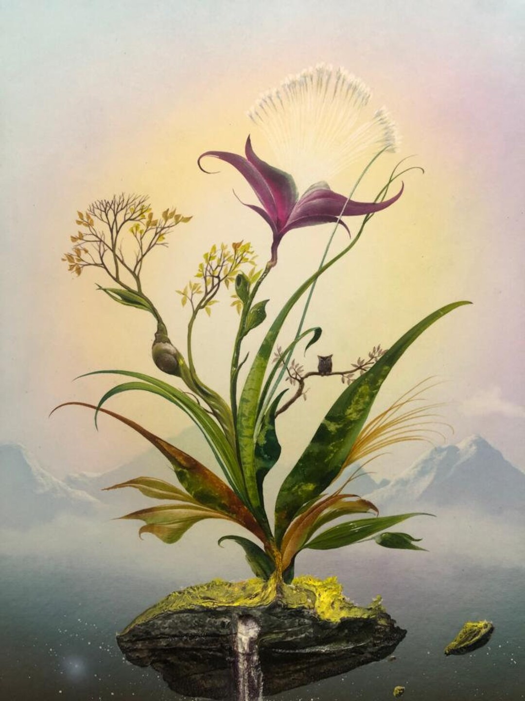 Carl W. Röhrig flowerdream Original and Signed 55x40 - Etsy