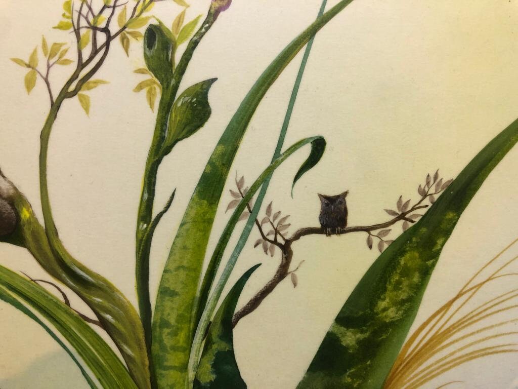 Carl W. Röhrig flowerdream Original and Signed 55x40 - Etsy