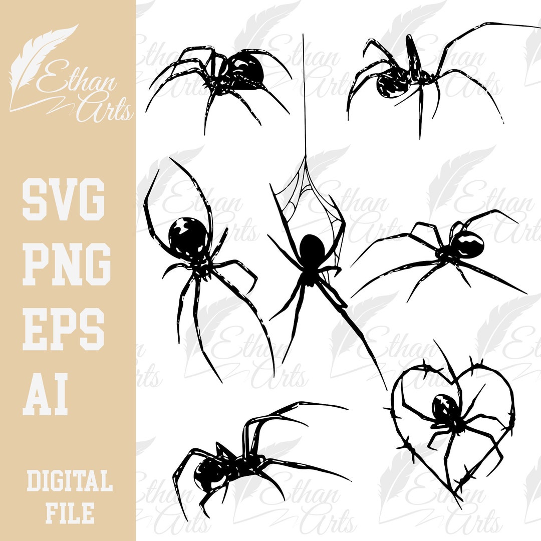 Spider SVG Bundle: Halloween Decor Cut Files (digital Download) - Etsy