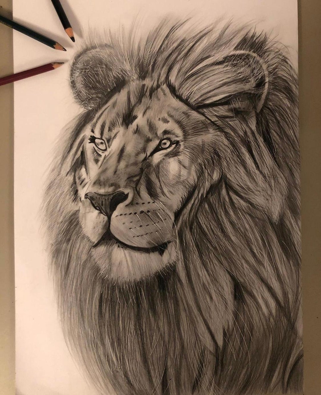 Handmade Graphite Drawing. Very Many Details Edition of 5 - Etsy