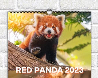 2023 Panda Calendar - Etsy