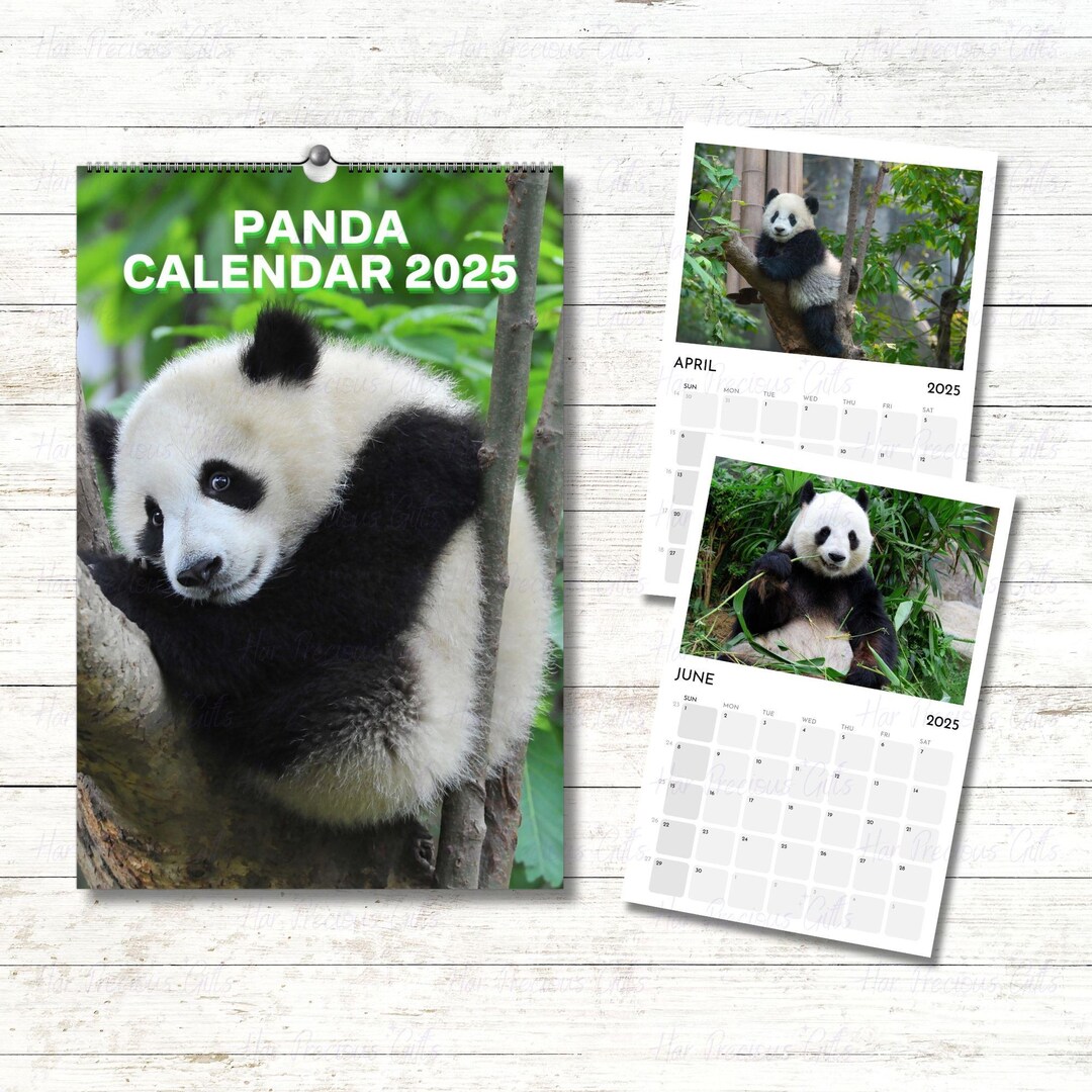 Panda Calendar 2025, Wall Calendar, Living Room Calendar 2025, Panda ...