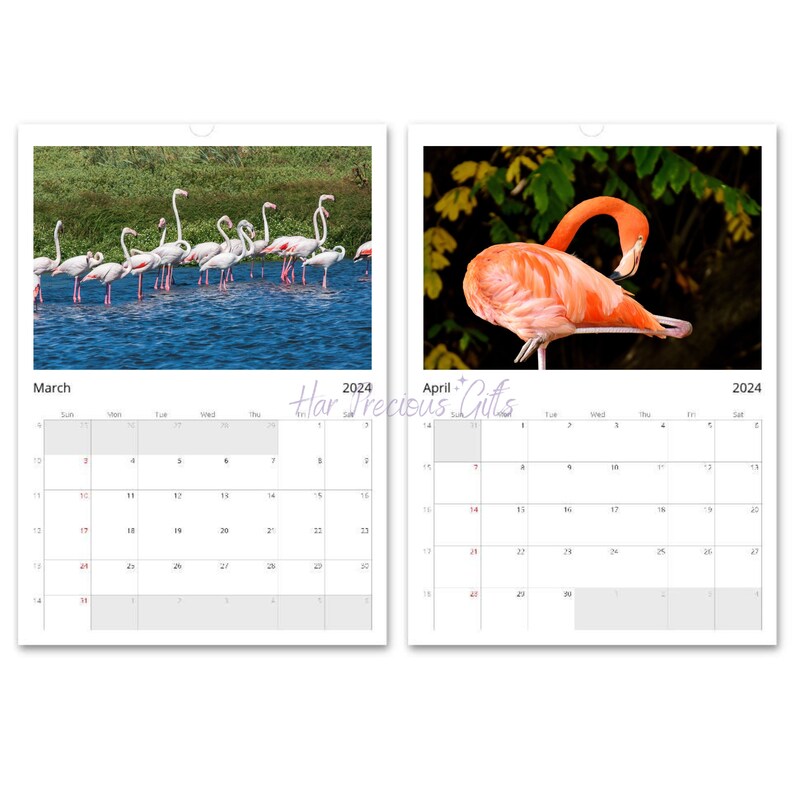 Flamingo Wall Calendar 2024, Flamingo Heart Shape, Calendar 2024, Gift ...