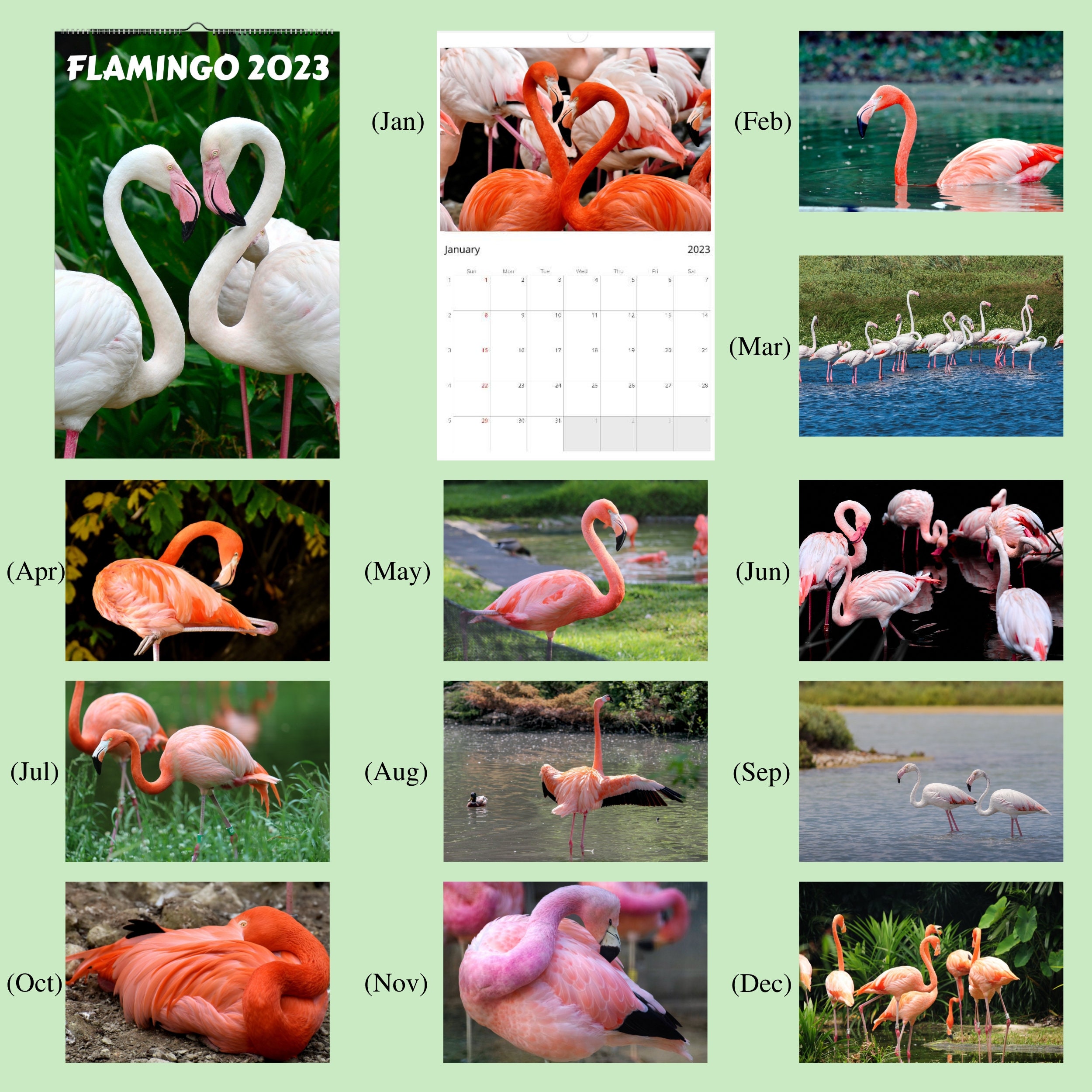 Flamingo Wall Calendar 2024 Flamingo Heart Shape Calendar - Etsy