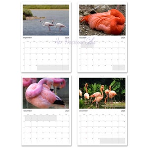 Flamingo Wall Calendar 2024, Flamingo Heart Shape, Calendar 2024, Gift ...