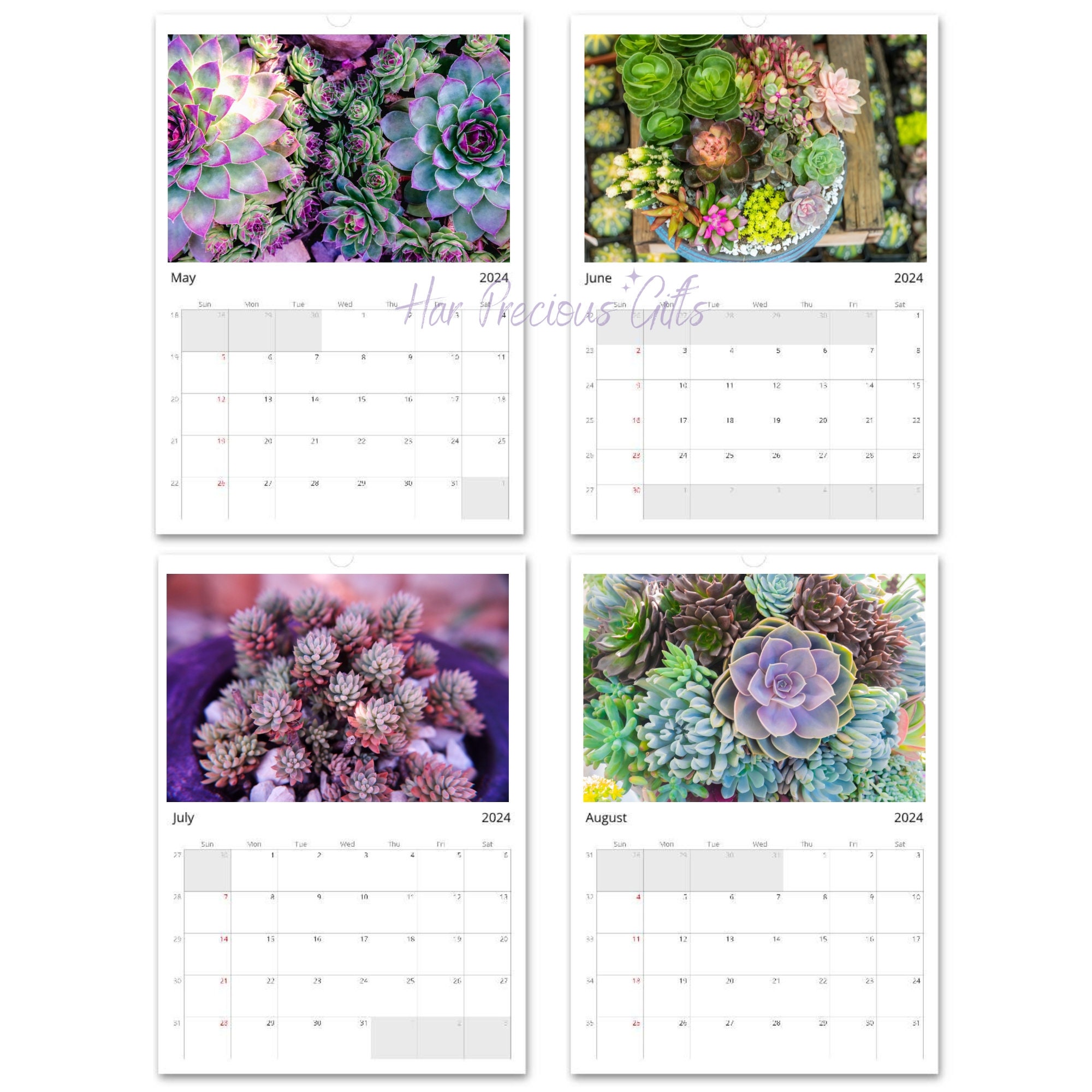 Succulents Calendar 2024, 12 Premium Photos Inside, Botanical Plant ...