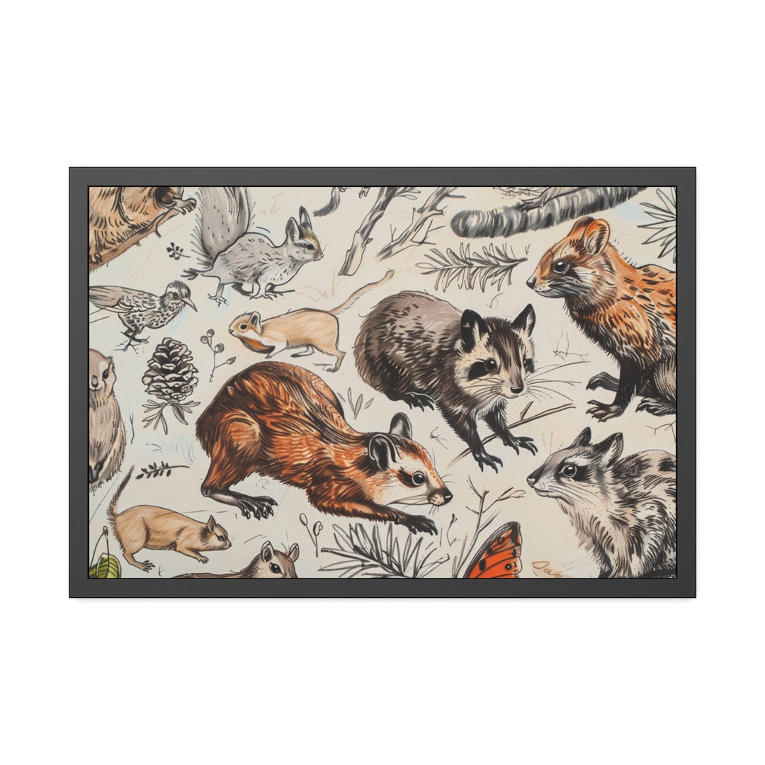 Forest Critter Sketchbook Cottage Decor Framed Wall Art, Forest Mammal ...