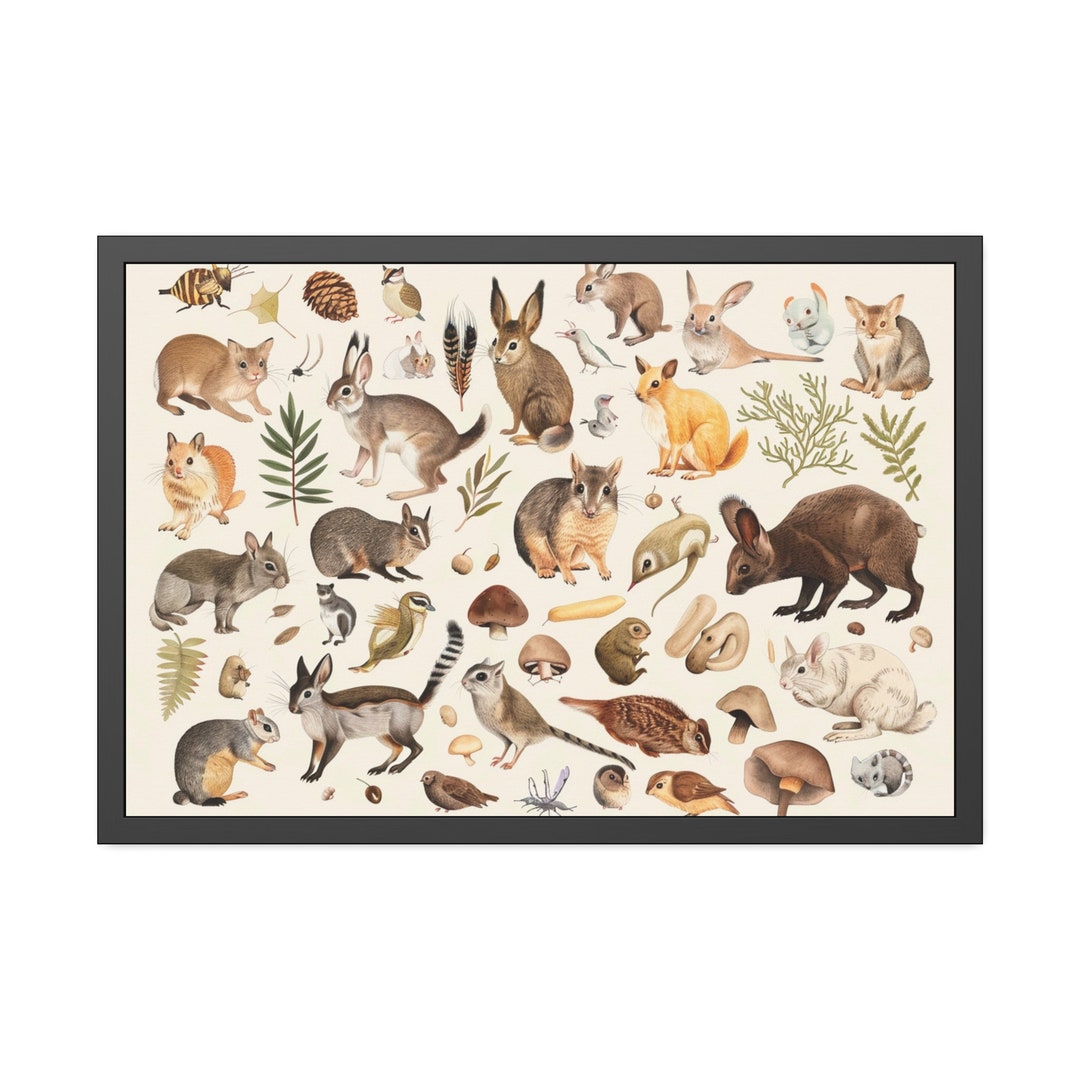 Forest Critter Sketchbook Cottage Decor Framed Wall Art, Forest Mammal ...