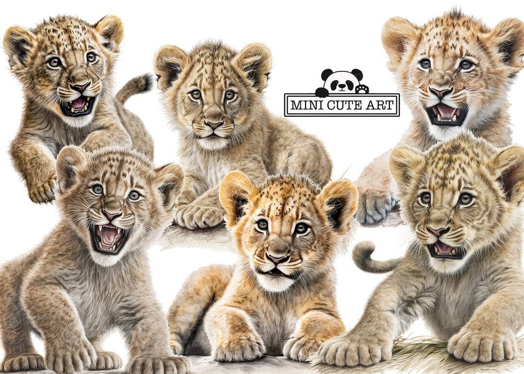 Watercolor Lion Png , Set Watrcolor Baby Lion Clip Art, Watercolor ...