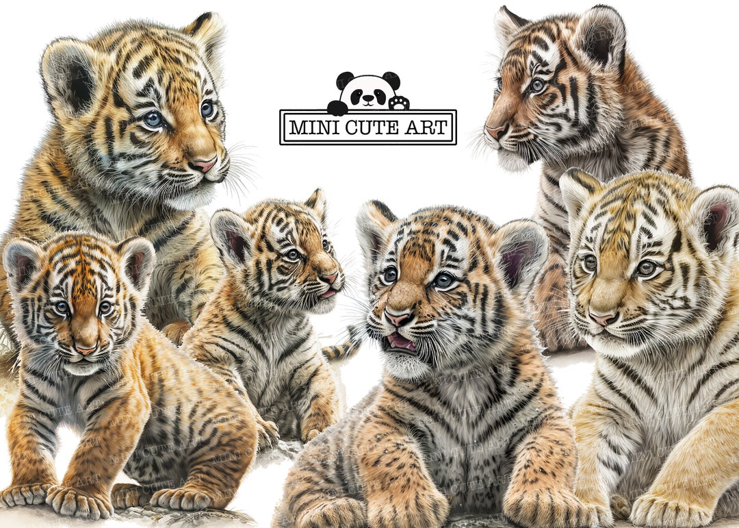 Watercolor Tiger Png , Set Watrcolor Baby Tiger Clip Art, Watercolor ...