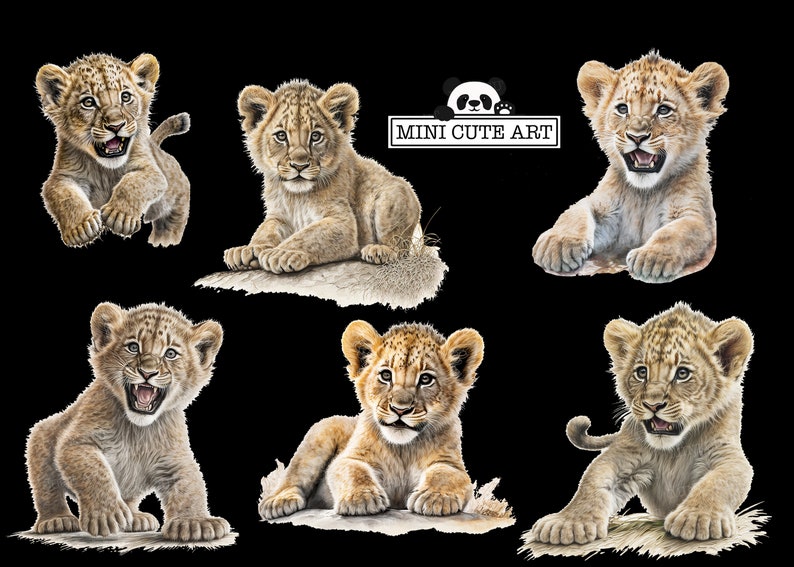 Watercolor Lion Png Set Watrcolor Baby Lion Clip Art - Etsy