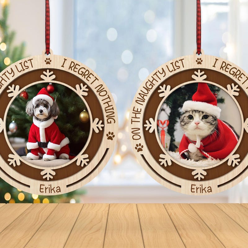 Snow Photo Frame Svg - Etsy