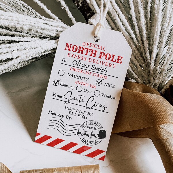 Special Delivery Gift Tags Printable - 60+ Gift Ideas for 2024