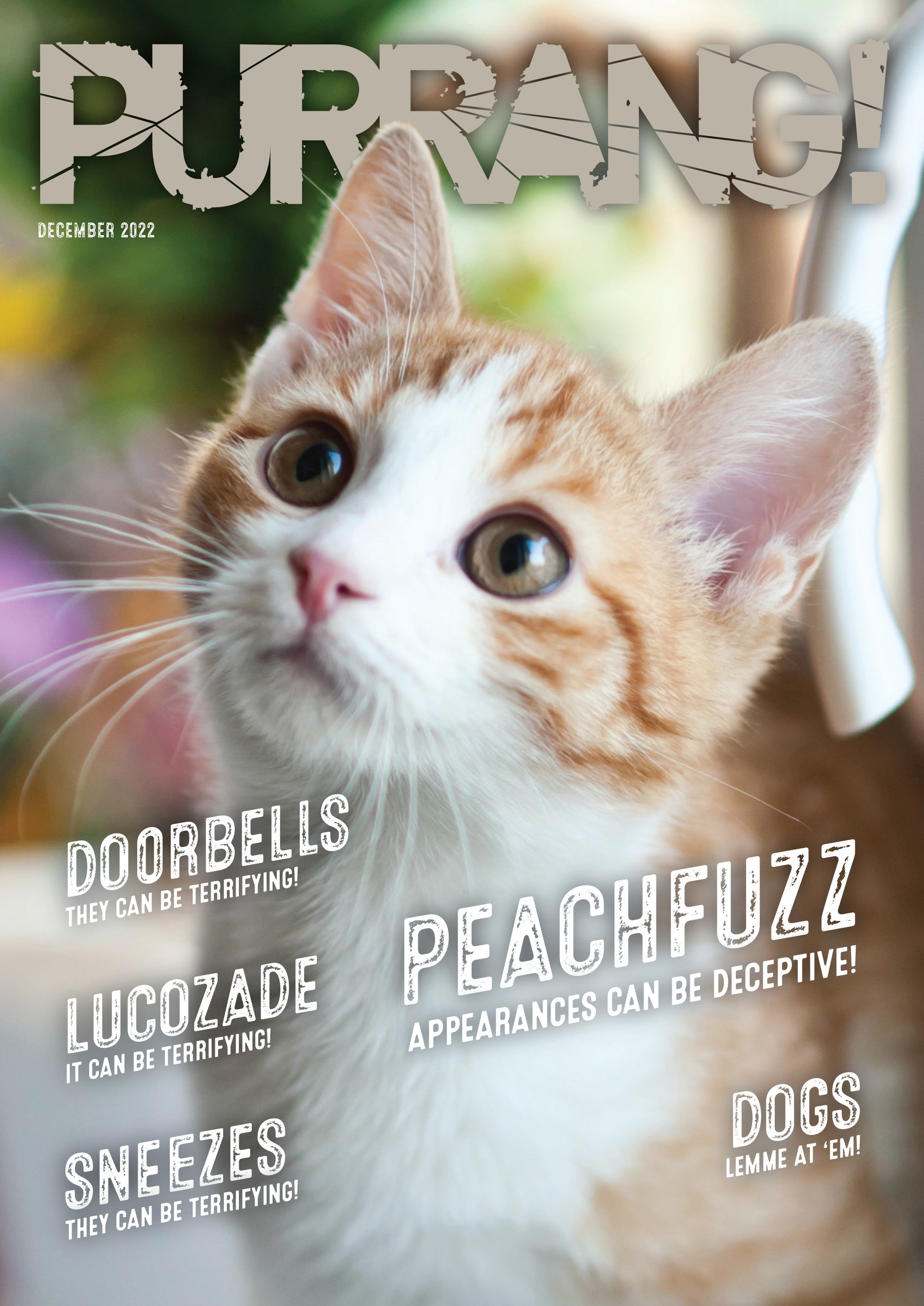 Personalised Pet Magazine Cover - Put Your Pet in the Headlines! - Etsy
