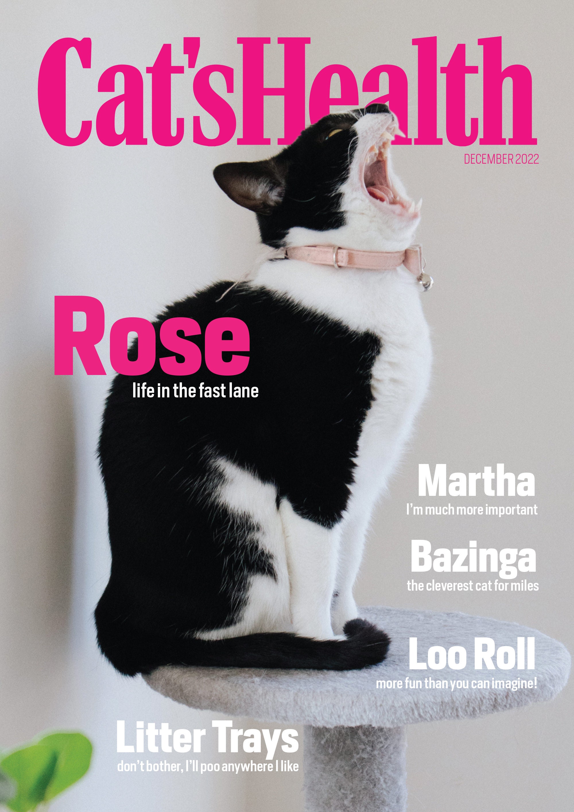 Personalised Pet Magazine Cover digital Version - Etsy