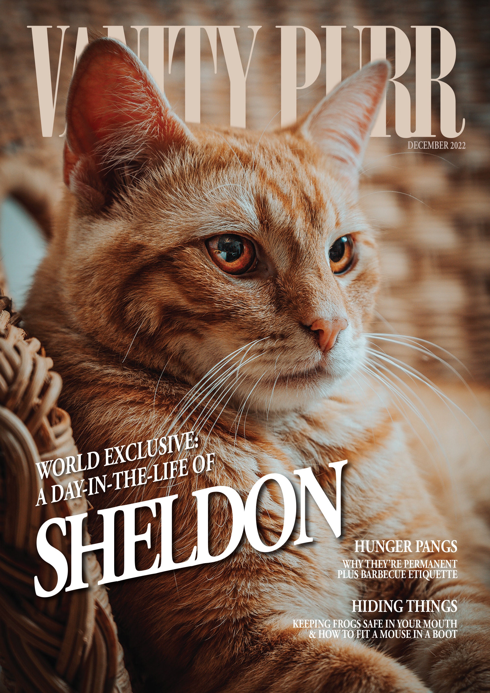 Personalised Pet Magazine Cover - Put Your Pet in the Headlines! - Etsy