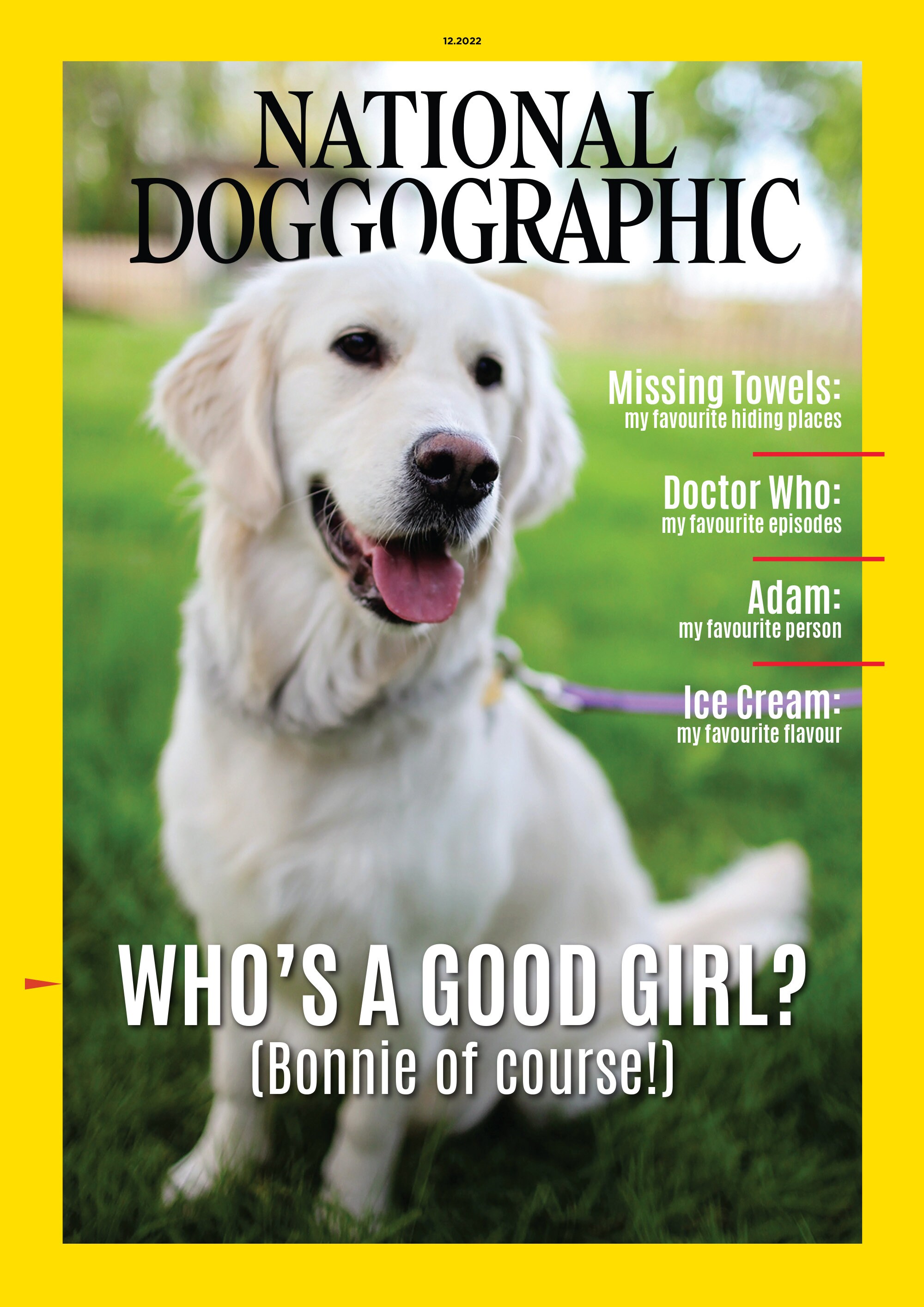 Personalised Pet Magazine Cover Put Your Pet in the - Etsy