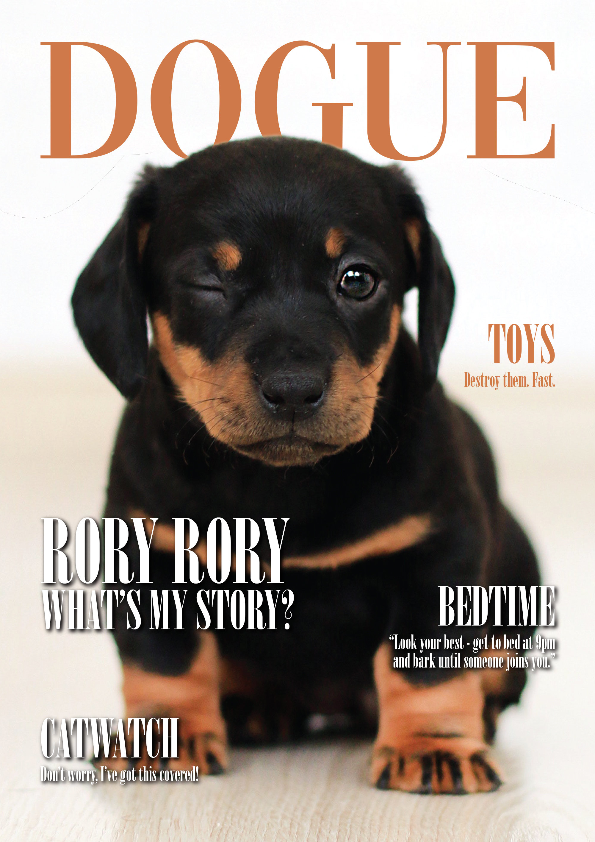 Personalised Pet Magazine Cover - Put Your Pet in the Headlines! - Etsy