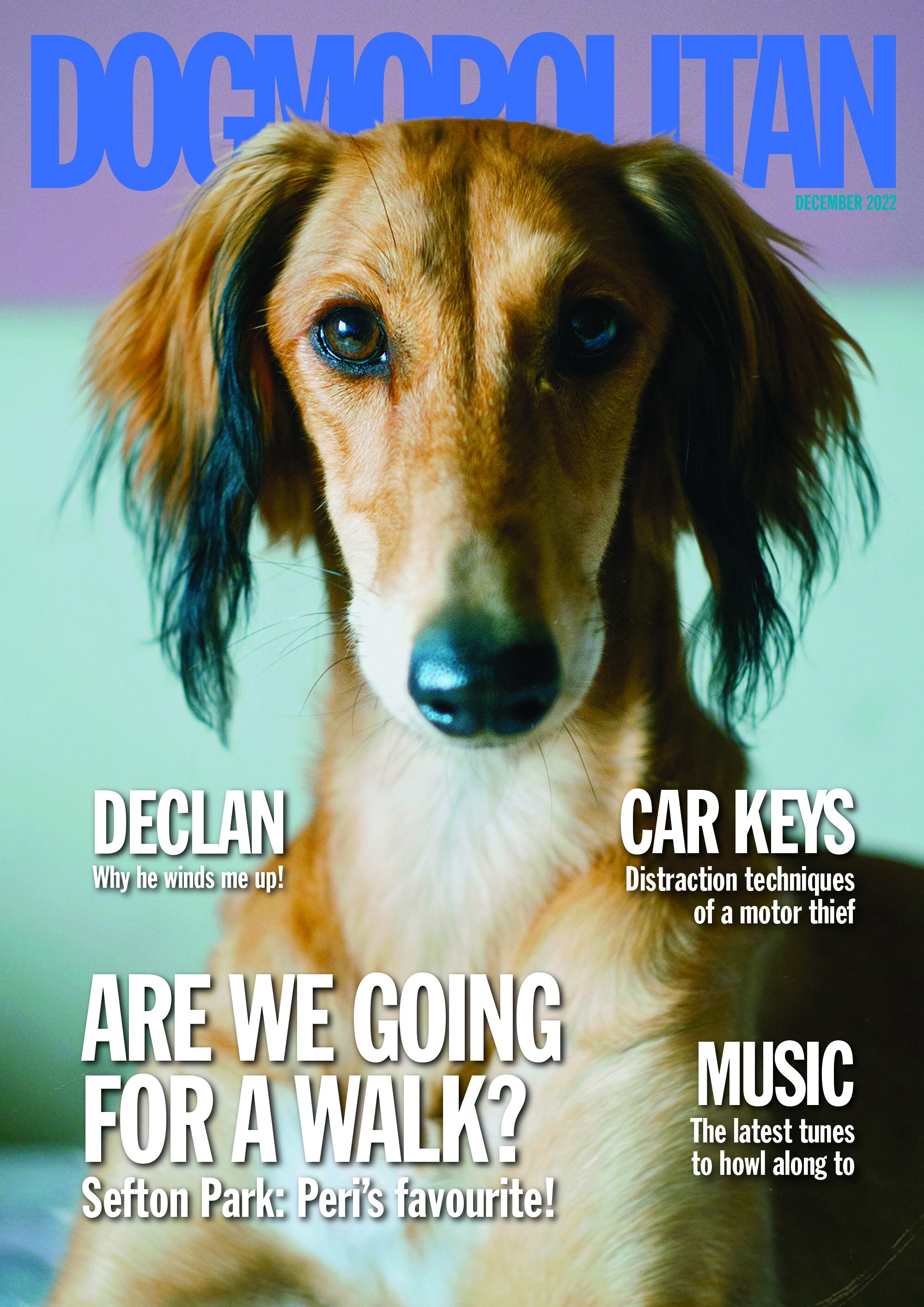 Personalised Pet Magazine Cover digital Version - Etsy