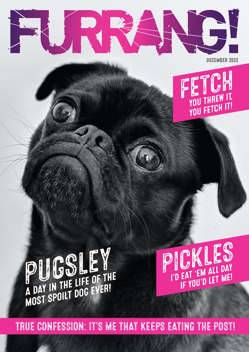 Personalised Pet Magazine Cover - Put Your Pet in the Headlines! - Etsy