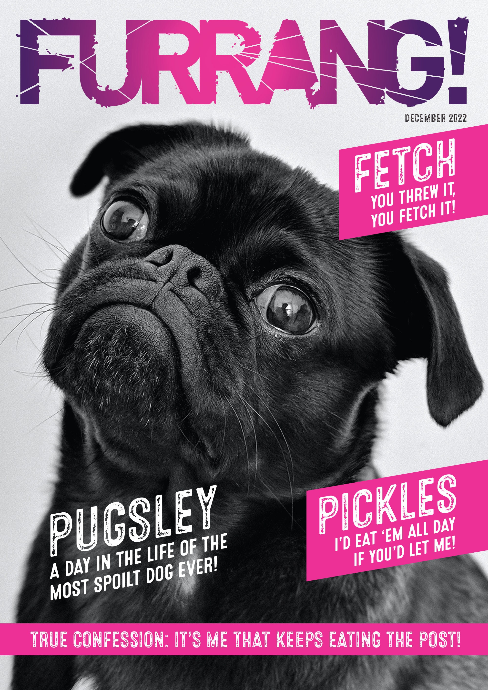 Personalised Pet Magazine Cover Put Your Pet in the Headlines - Etsy