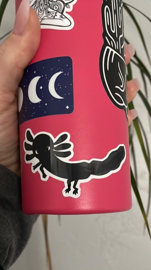 Axolotl Vinyl Sticker - Etsy