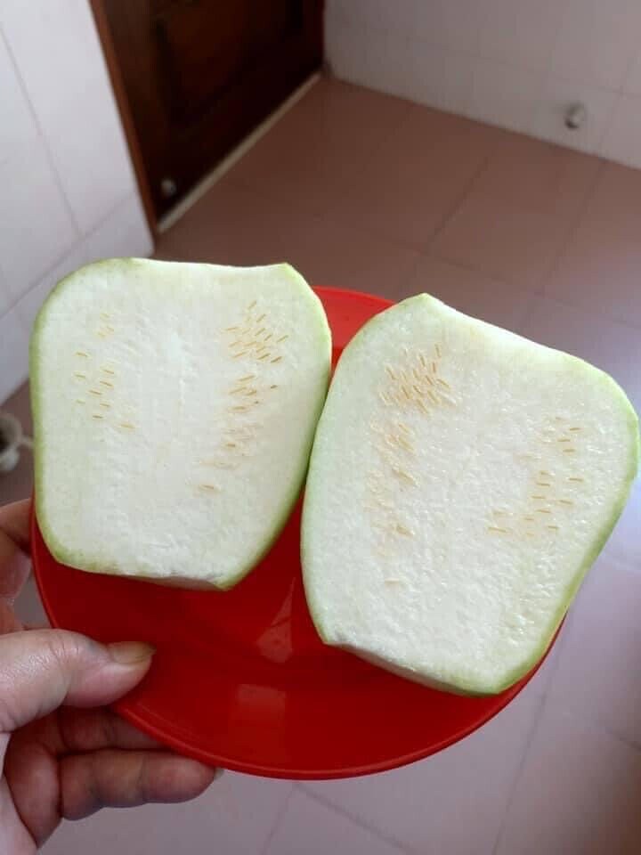Taiwanese Apple Luffa F1 Super Sweet Seeds, 蘋果絲瓜, Hạt Giống Mướp Táo ...