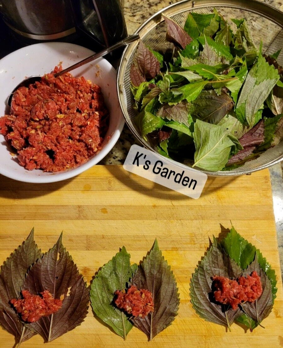 Shiso, Perilla, Zisu, Japanese Basil Seeds, Hạt Giống Tía Tô, 紫蘇, 들깨 ...