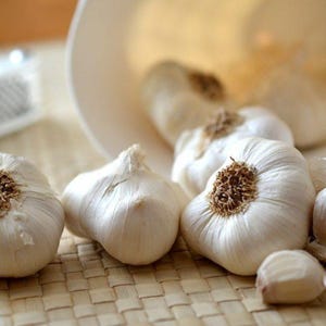 Premium California Colossal Fresh Garlic Bulbs - for Planting, Growing ...
