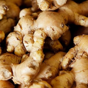 Fresh Ginger Root Organic USDA Certified - for Planting, Growing ...