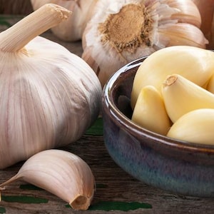 Premium California Colossal Fresh Garlic Bulbs - for Planting, Growing ...