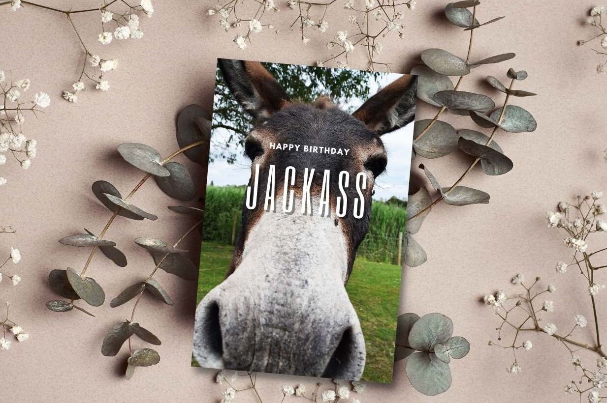 Printable Happy Birthday Jackass Card Digital Download, FREE Inside ...