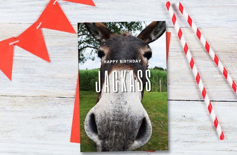 Printable Happy Birthday Jackass Card Digital Download, FREE Inside ...
