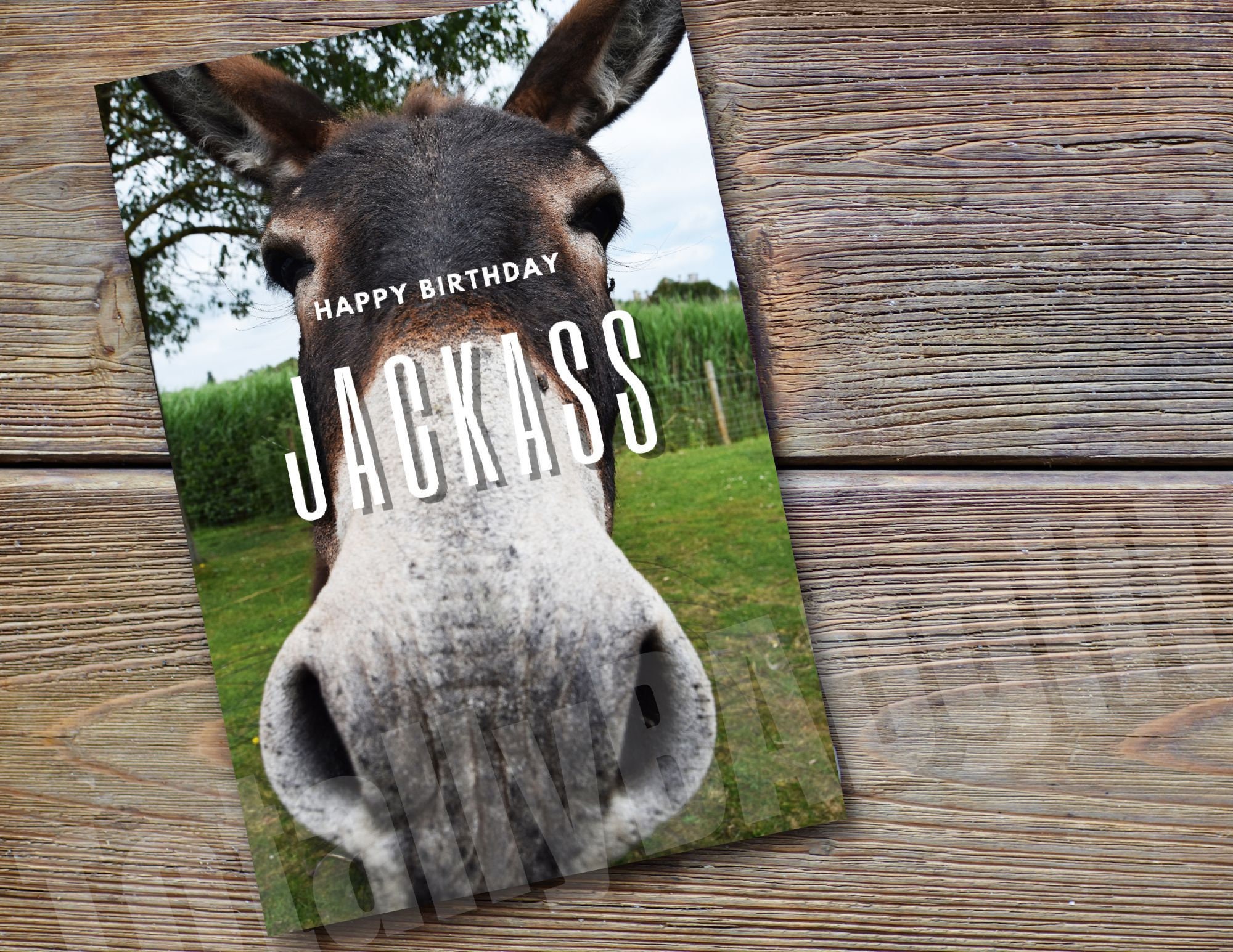Happy Birthday Jackass