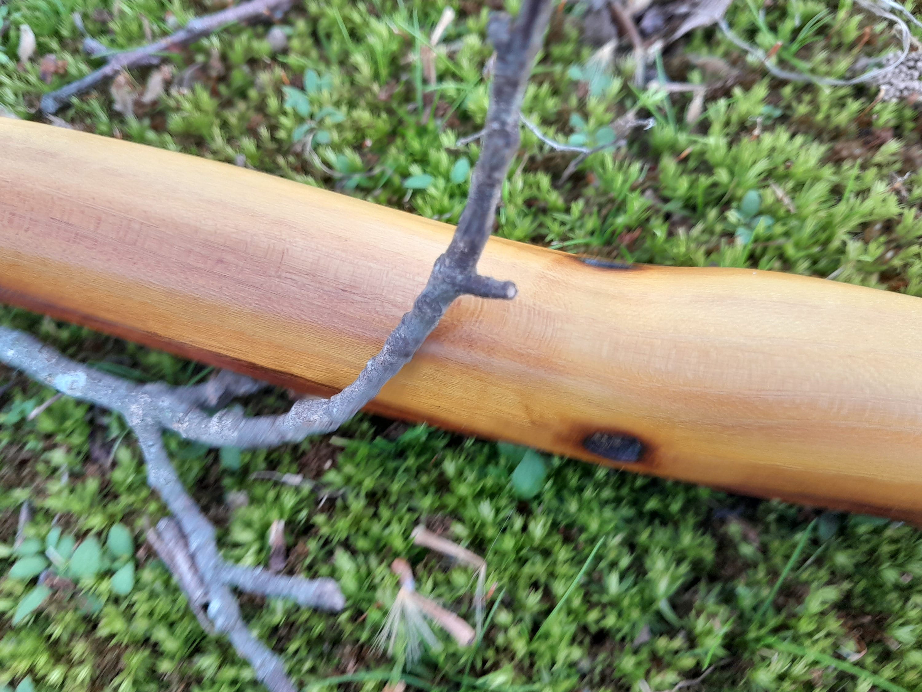 The World's Most Expensive Stick - Etsy Australia