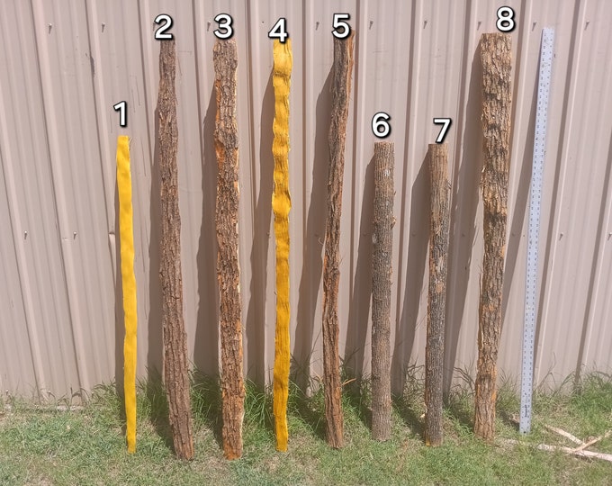 Hickory Staves for Bow Making. All Dry, Straight, Bark Intact. Spent 3 ...