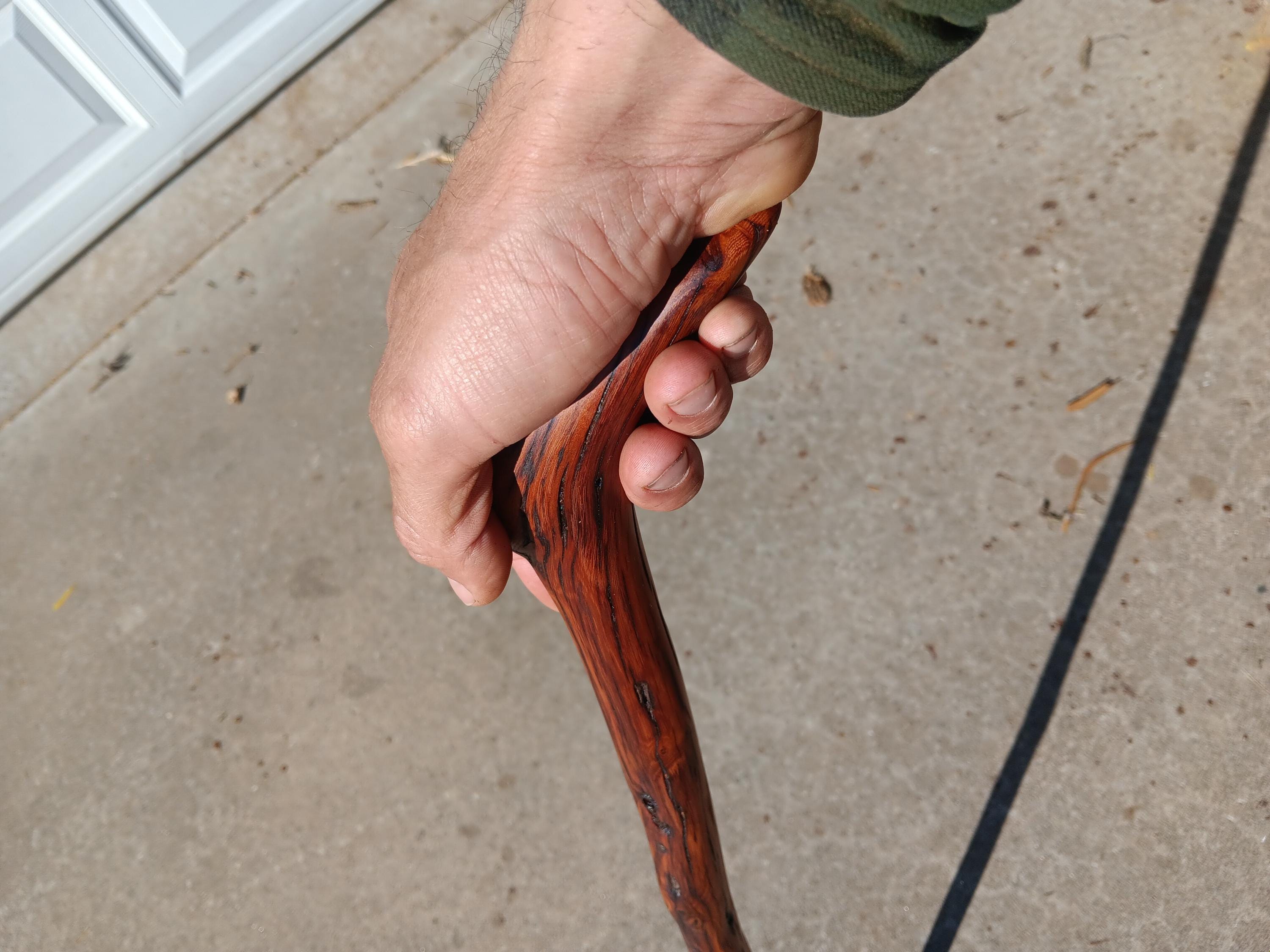 Osage Orange Cane - Etsy