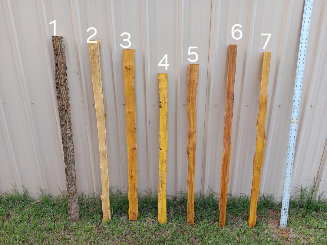 Short Osage Bow Staves - Etsy
