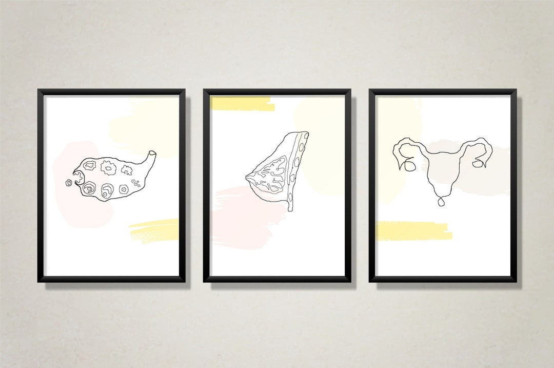 Female Anatomy Prints Set of 3 Posters Female Reproductive System ...