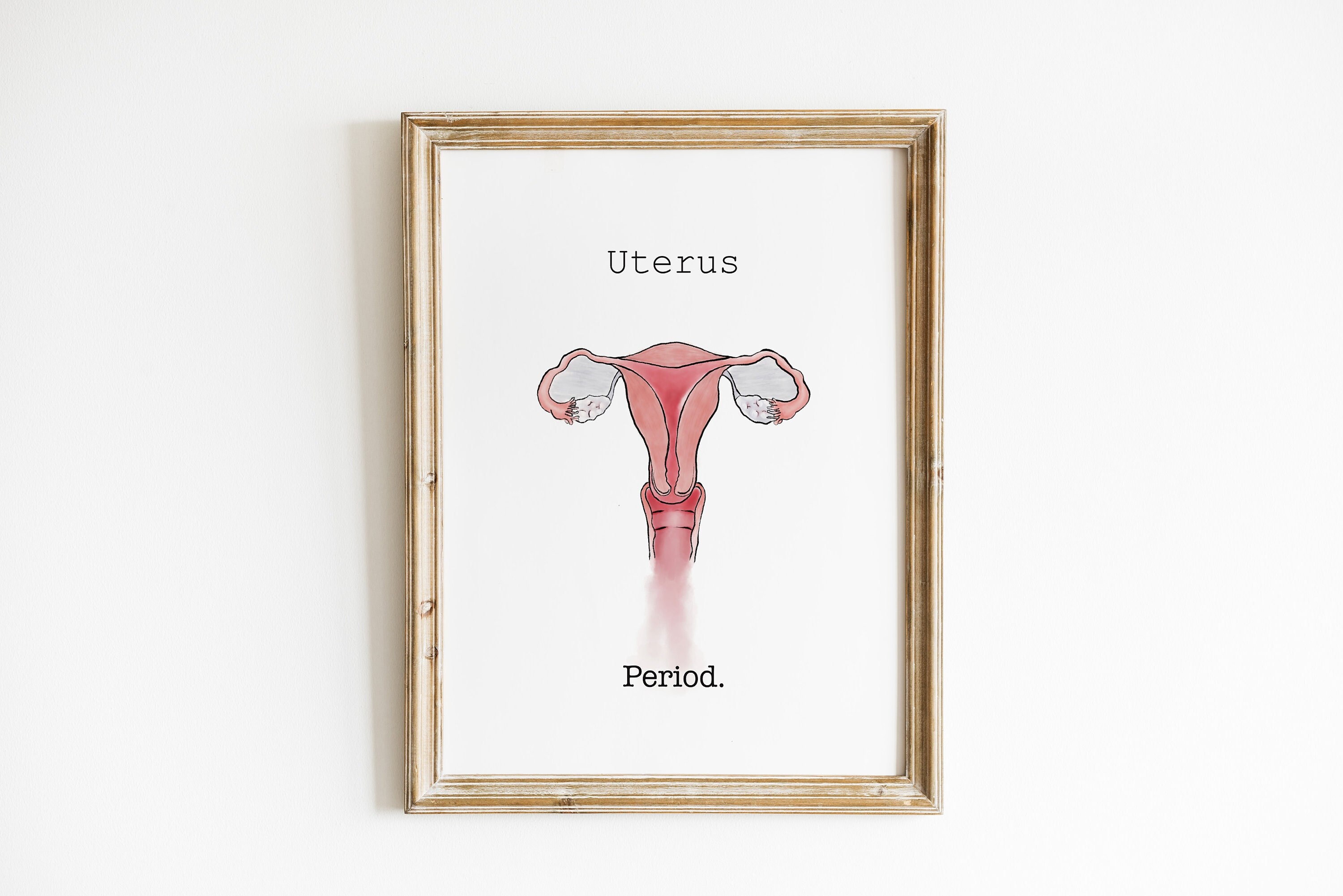 Uterus Artwork Anatomy Wall Art Female Reproductive System Medical