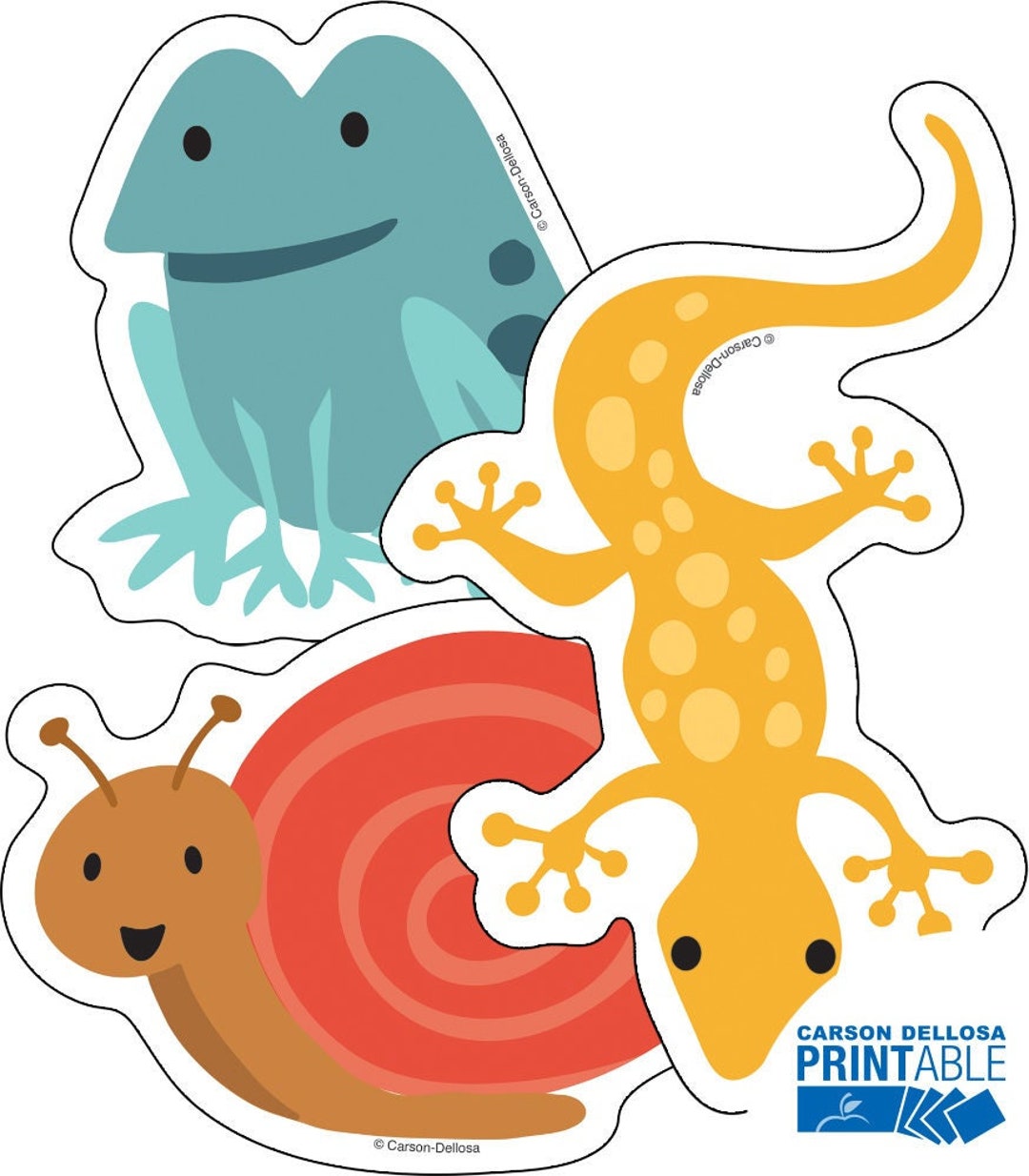 Frogs, Lizards & Snails Colorful Cutouts, Classroom Décor - Etsy