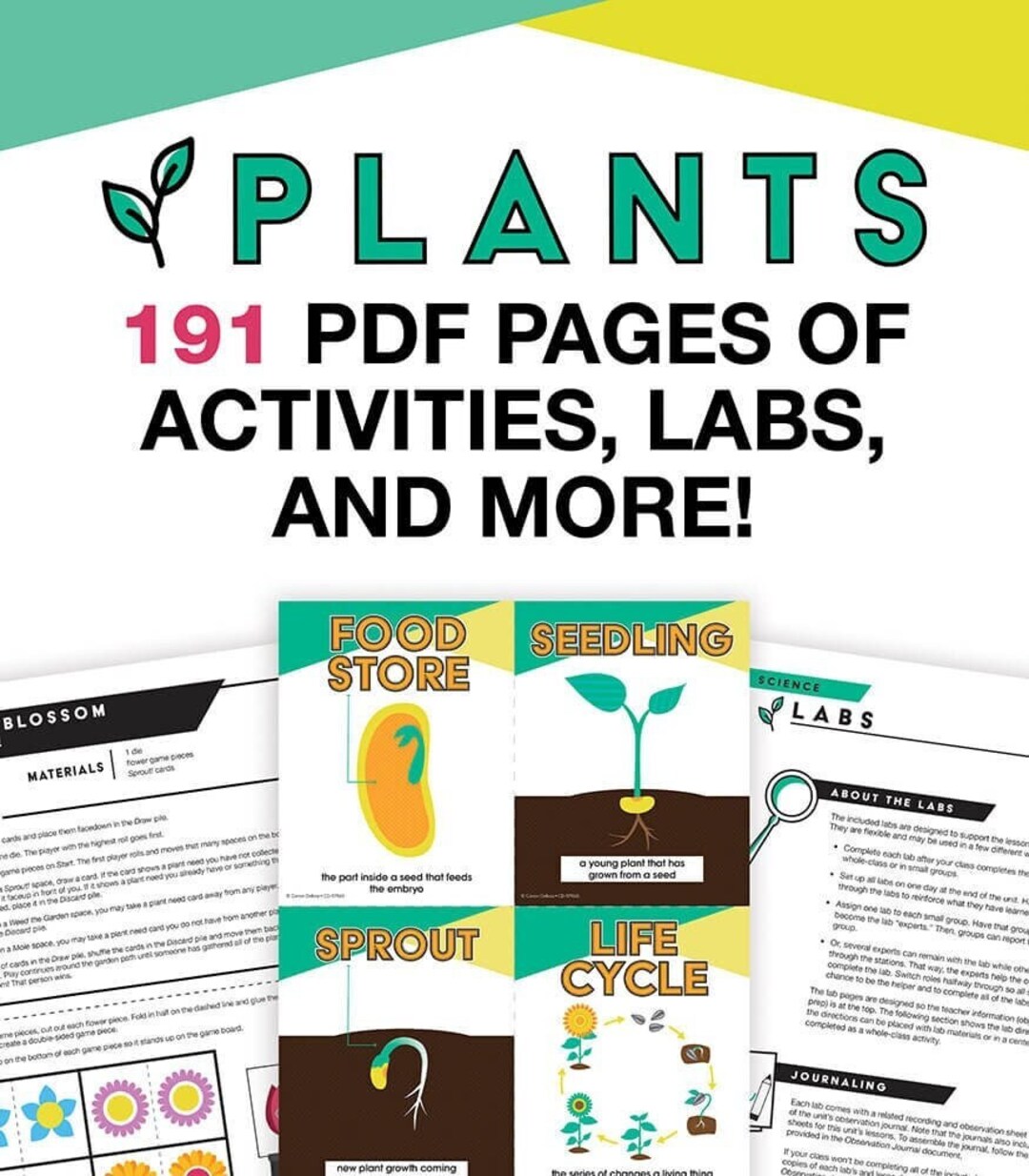 Plants Printable, Science & STEM Activity Worksheet Bundle, Instant ...