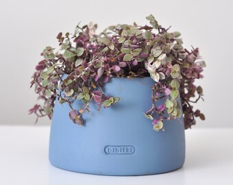 Handmade Ceramic Planter, Houseplant Pot, Indoor Plant Pot, Nordic ...