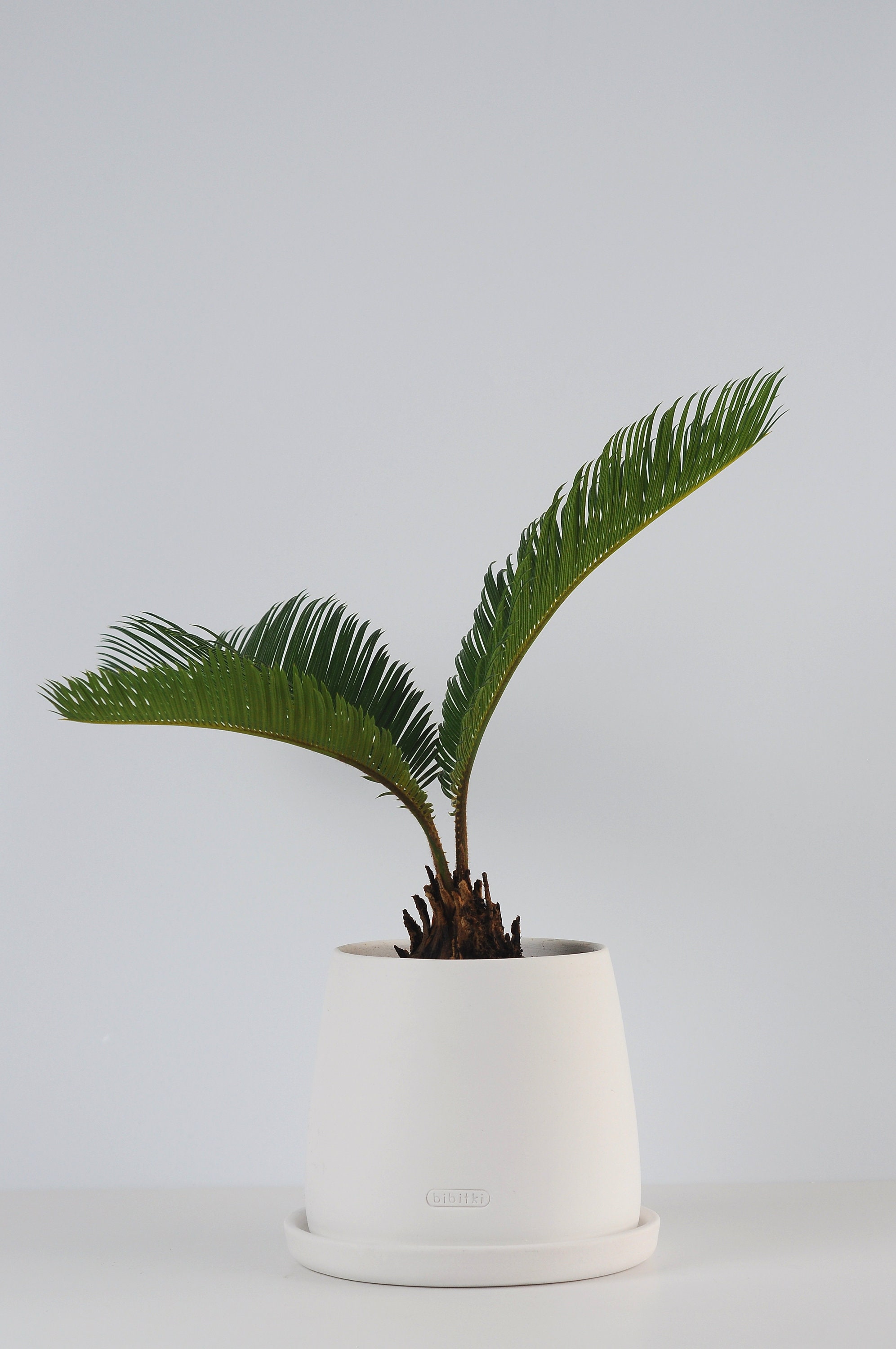 Handmade Ceramic Planter, Houseplant Pot, Indoor Plant Pot, Nordic ...