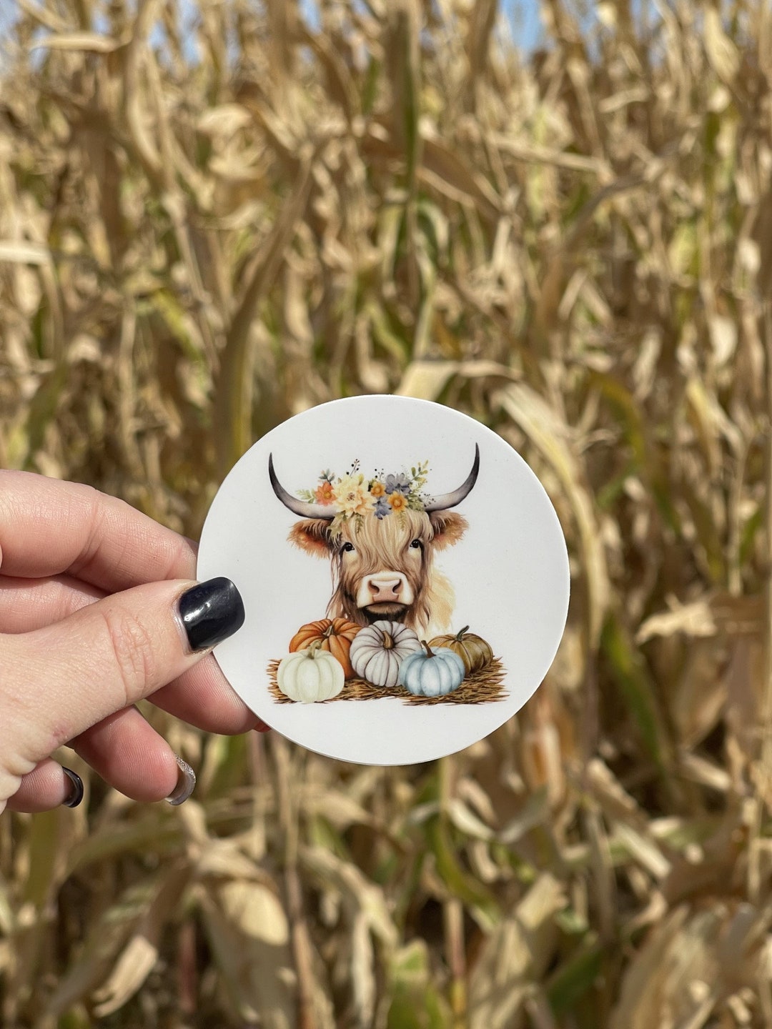 Highlander Pumpkin Sticker - Etsy