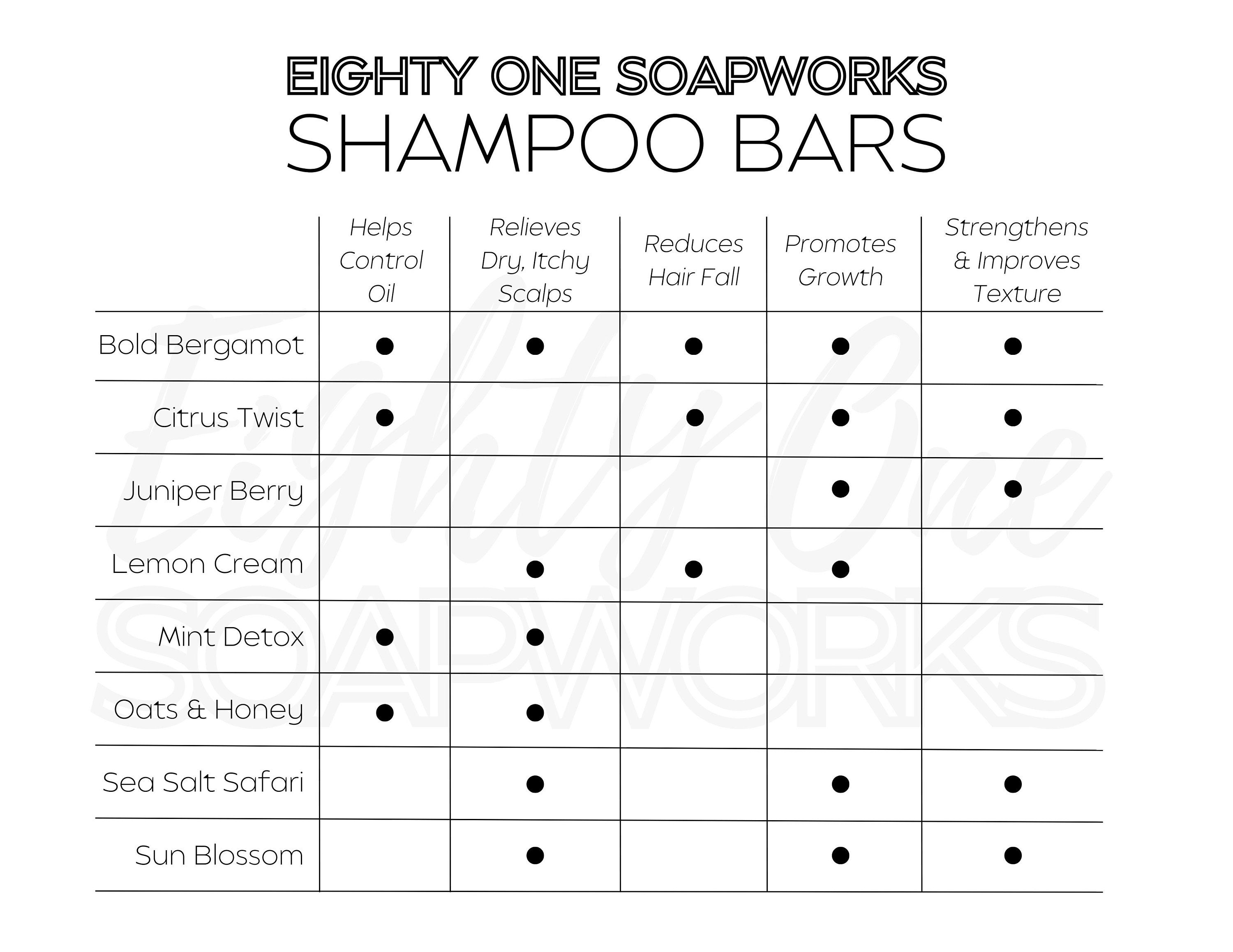 Solid Shampoo Bars Large 2 5 Ounces Etsy
